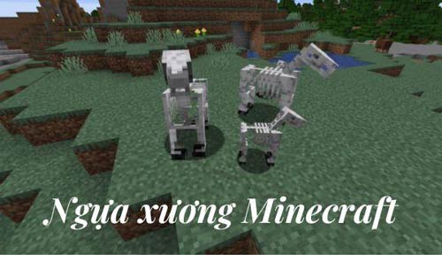Chia sẻ thông tin về ngựa xương trong Minecraft cho newbie