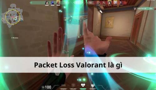Packet loss Valorant là gì? Kinh nghiệm khắc phục hiệu quả